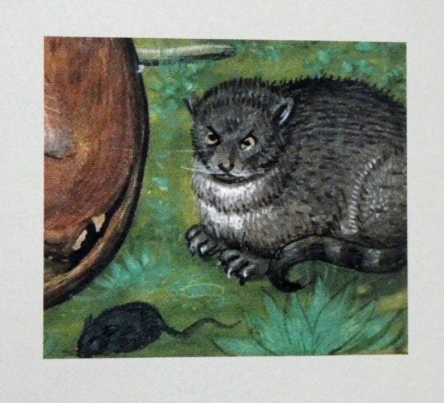 Pangur Ban and the Old Irish Cats – Cherry's Cache