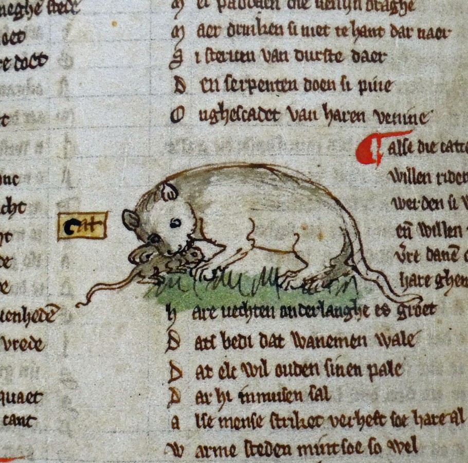 Pangur Ban and the Old Irish Cats – Cherry's Cache