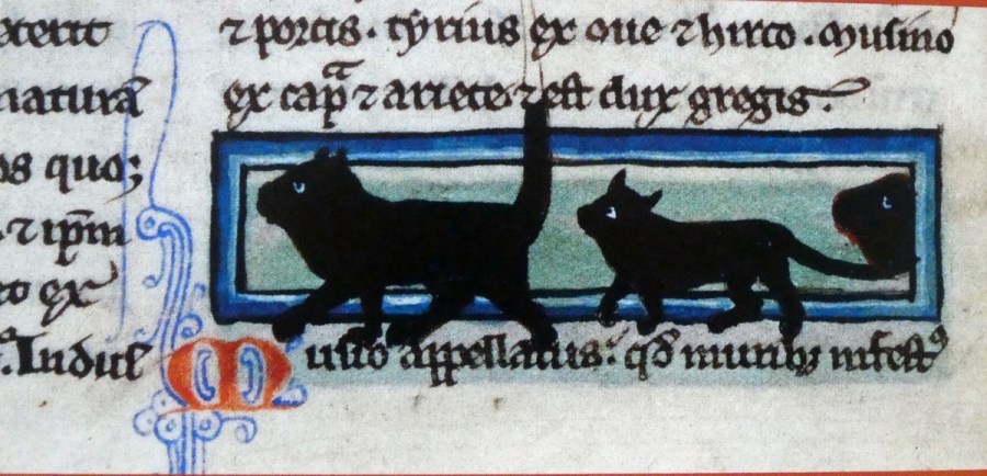 Pangur Ban and the Old Irish Cats – Cherry's Cache