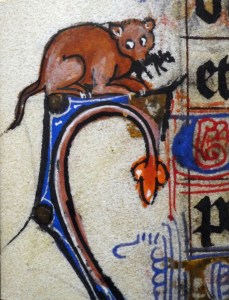 Pangur Ban and the Old Irish Cats – Cherry's Cache