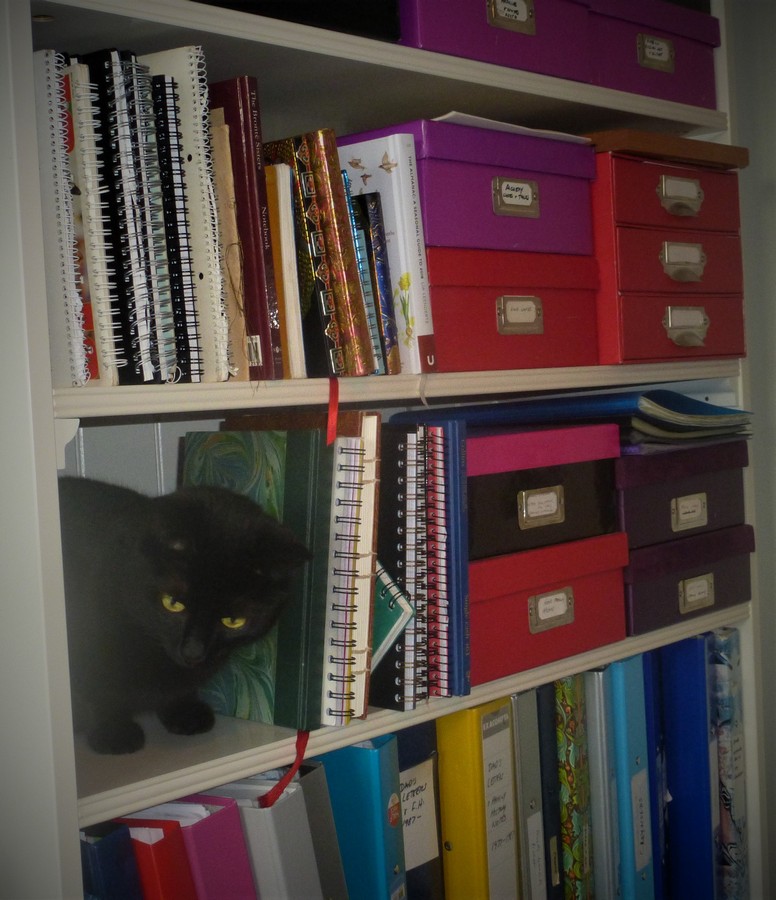 Pangur Ban and the Old Irish Cats – Cherry's Cache