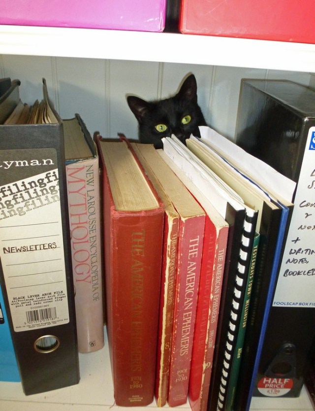 Pangur Ban and the Old Irish Cats – Cherry's Cache